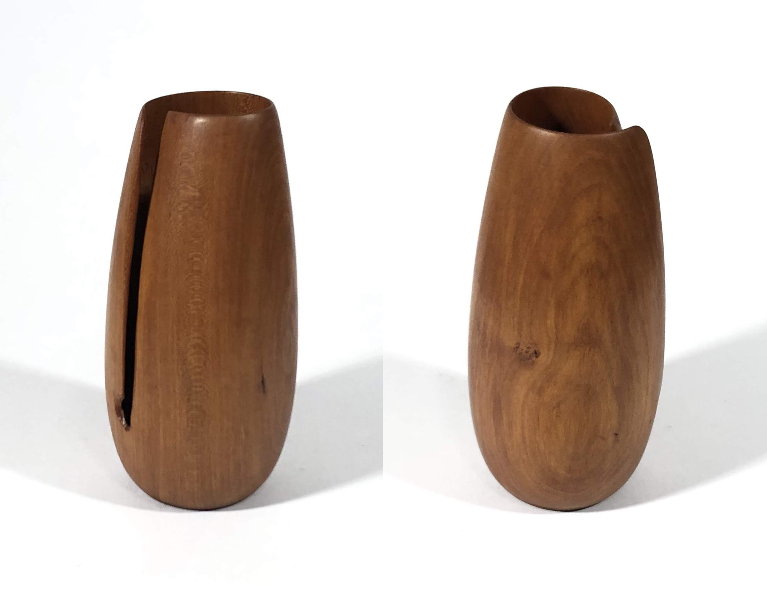 STEVE CRAYCHEE ART – CHRIS CRAYCHEE