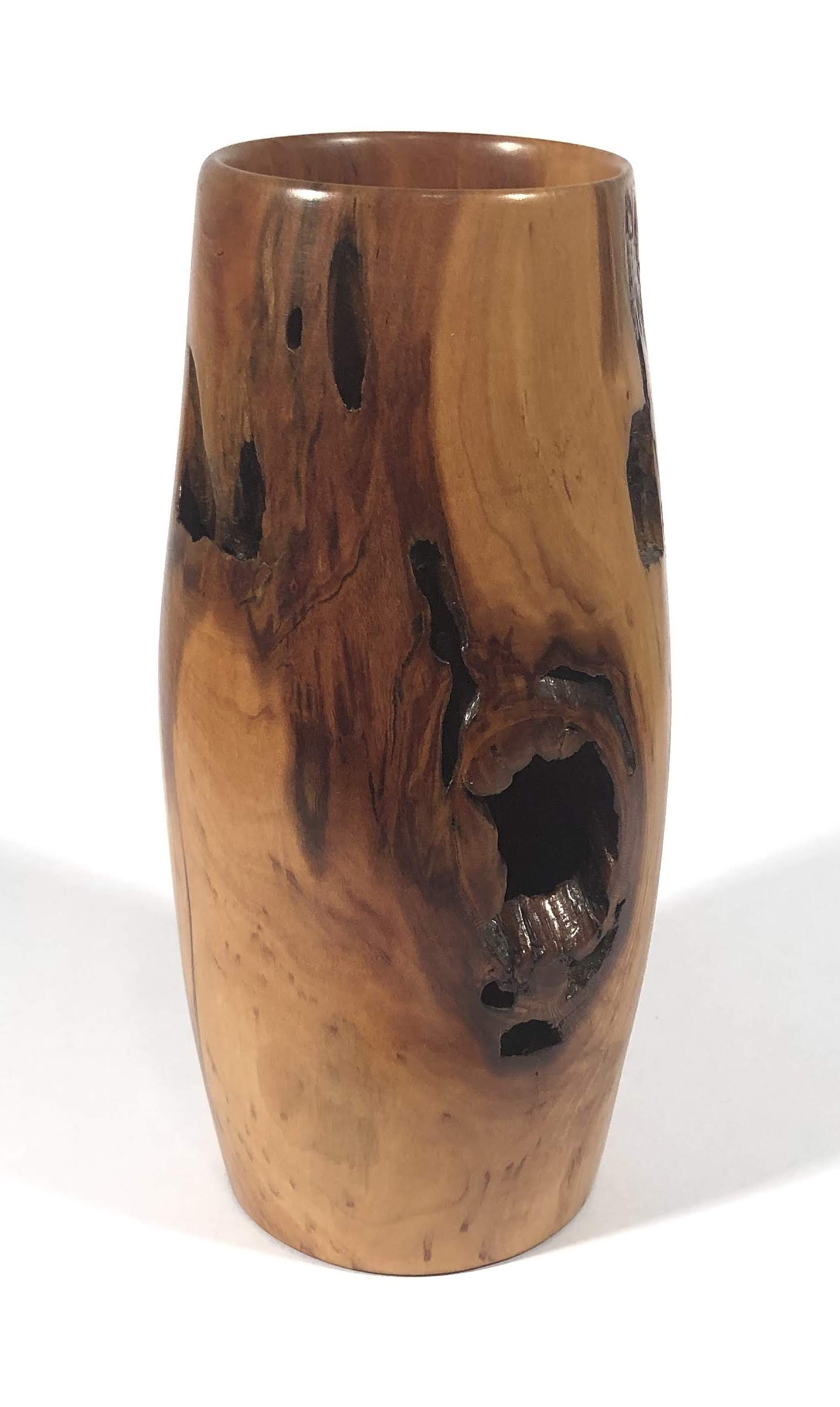 STEVE CRAYCHEE ART – CHRIS CRAYCHEE