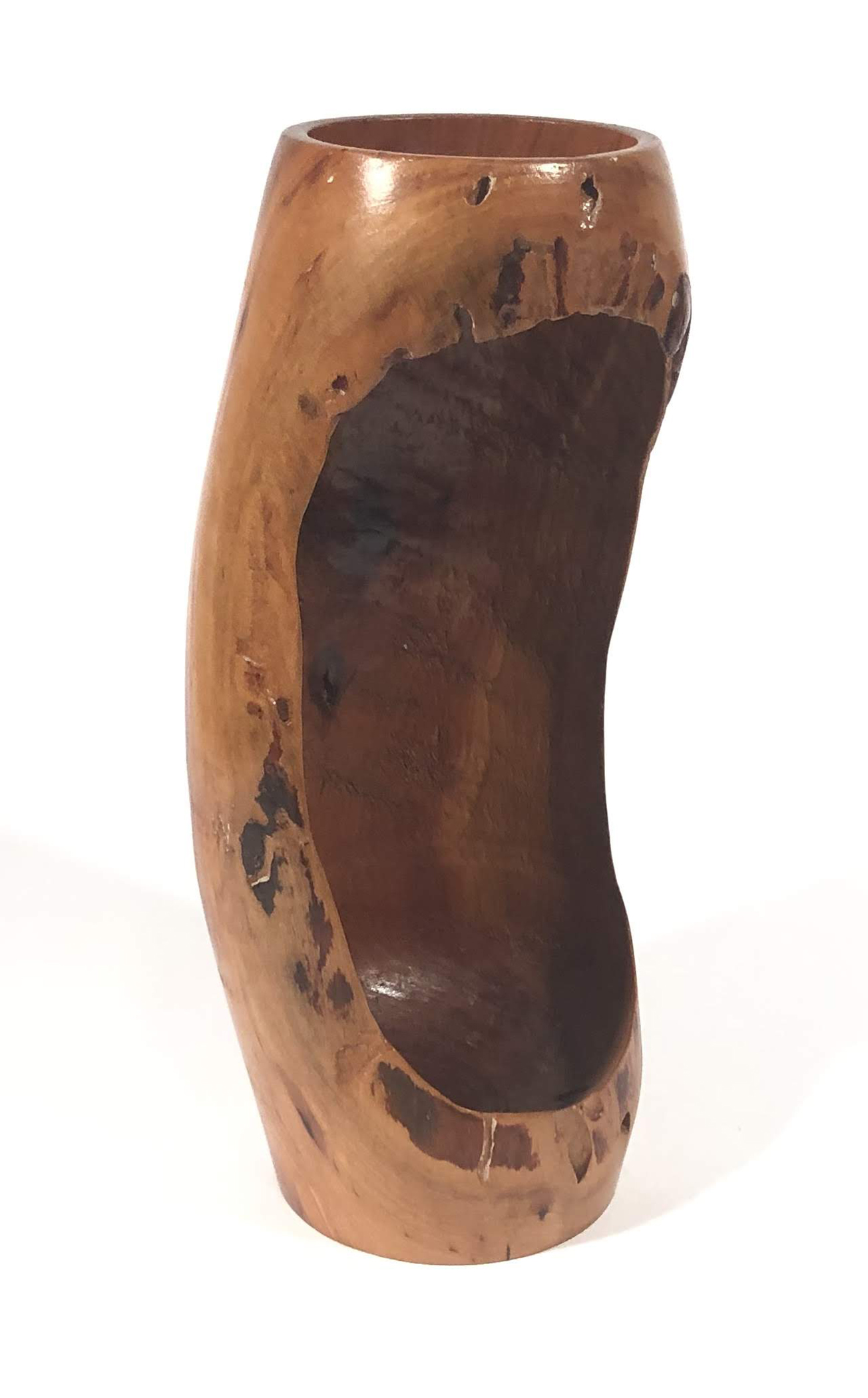 STEVE CRAYCHEE ART – CHRIS CRAYCHEE